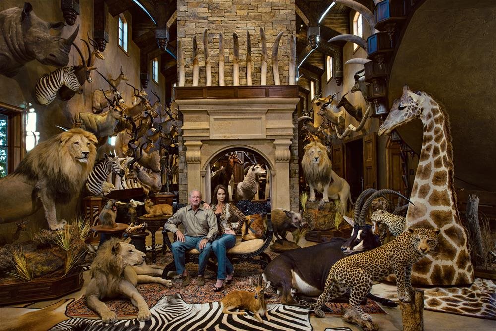 Taxidermia, el arte de disecar animales. ¿Arte o barbarie?