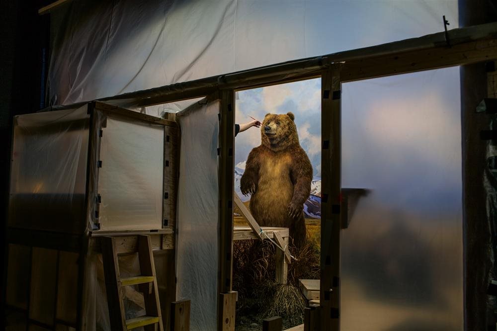 Taxidermia, el arte de disecar animales. ¿Arte o barbarie?