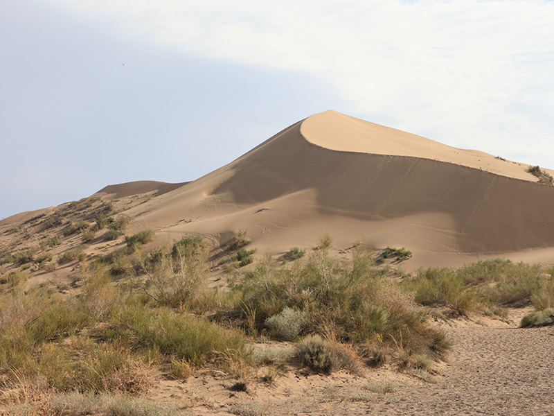 La UNESCO amplia su red de Reservas de la Biosfera