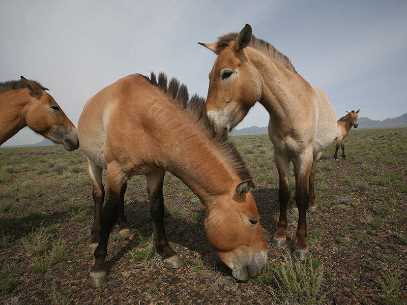 La UNESCO amplia su red de Reservas de la Biosfera