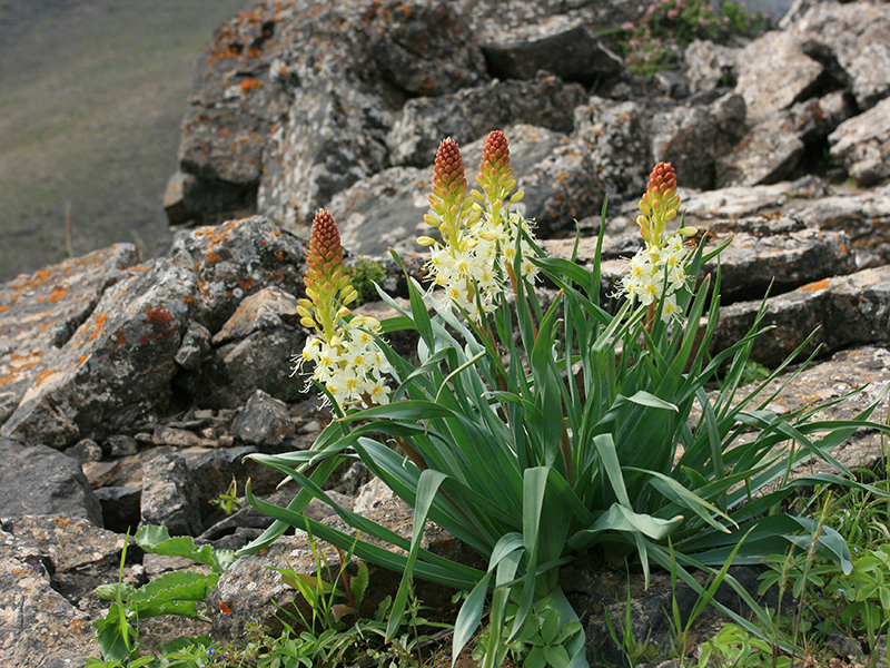 La UNESCO amplia su red de Reservas de la Biosfera