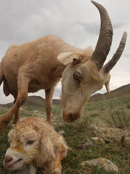 La UNESCO amplia su red de Reservas de la Biosfera