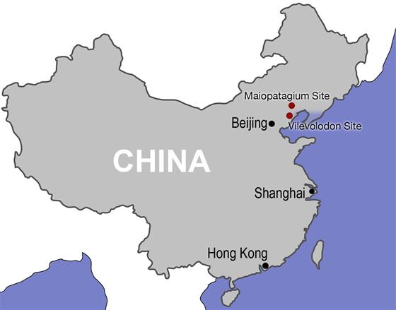 Hallan en China los fósiles de los primeros mamíferos alados