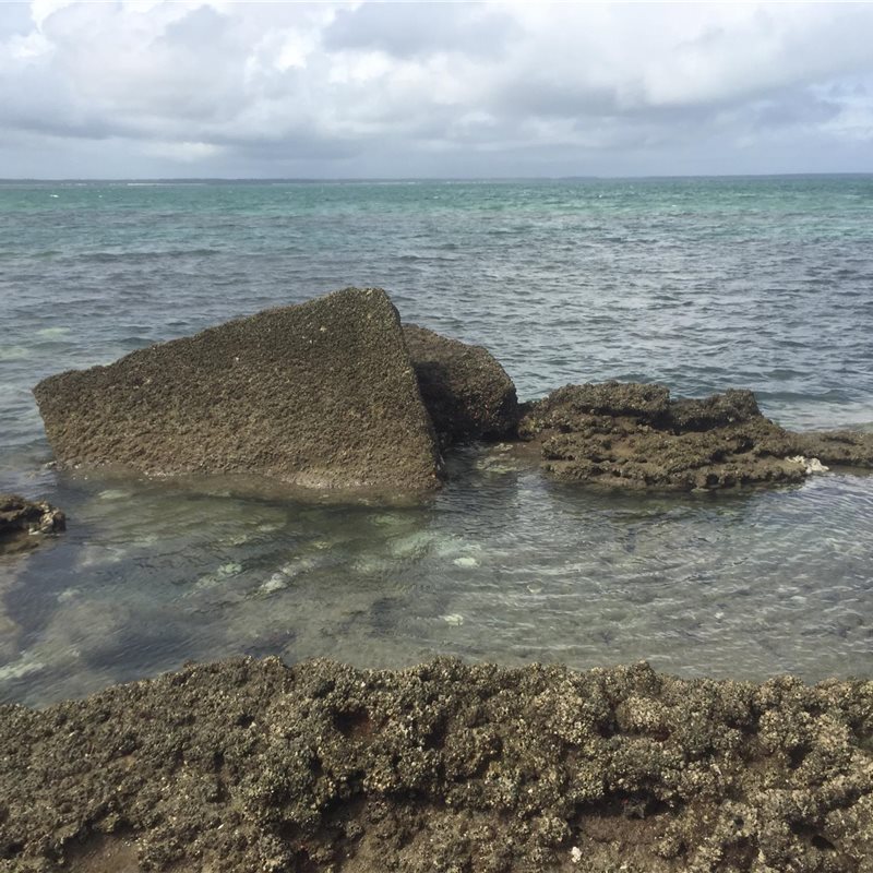 Las nuevas huellas halladas en Tanzania revelan cómo era nuestra ...