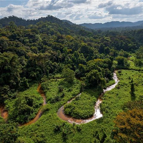 Reportajes y fotografías de Selva en National Geographic