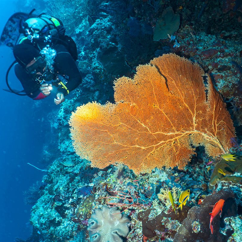 Reportajes y fotografías de Parques naturales en National Geographic
