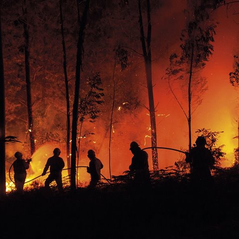 Reportajes y fotografías de Incendios en National Geographic
