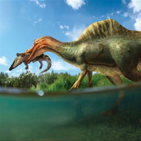¿Cómo vivían los diplodocus?