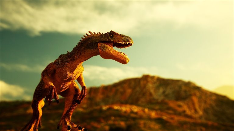 Reportajes y fotografías de Cretácico en National Geographic
