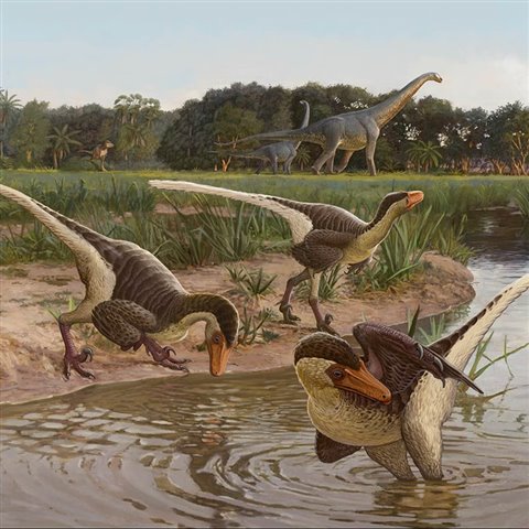 Reportajes y fotografías de Cretácico en National Geographic