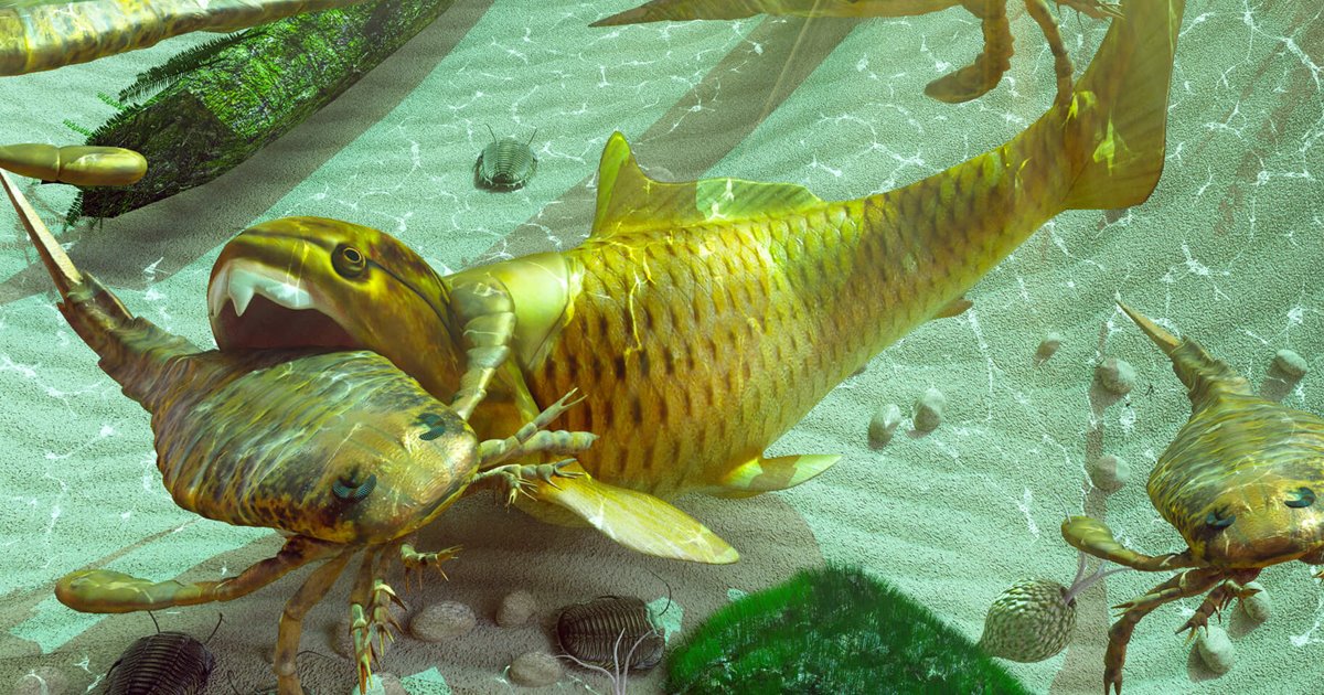 El abrupto fin de la Edad de los Peces