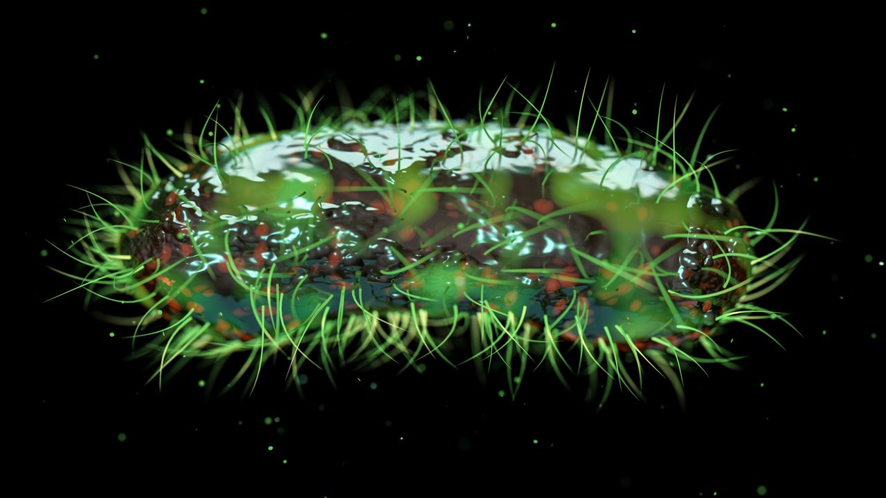 Lokiarchaeota, la hipótesis del hidrógeno y el surgimiento de la célula ...