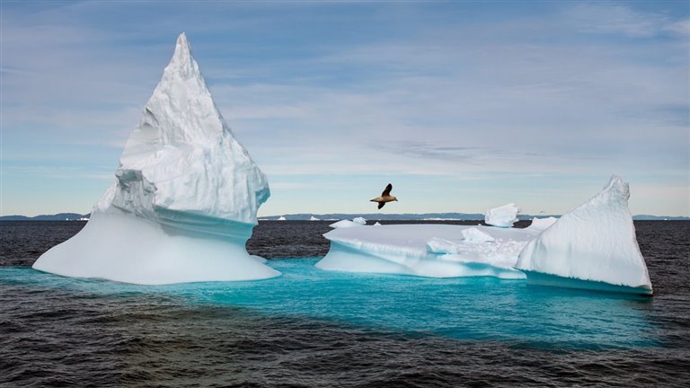 Reportajes y fotografías de Icebergs en National Geographic