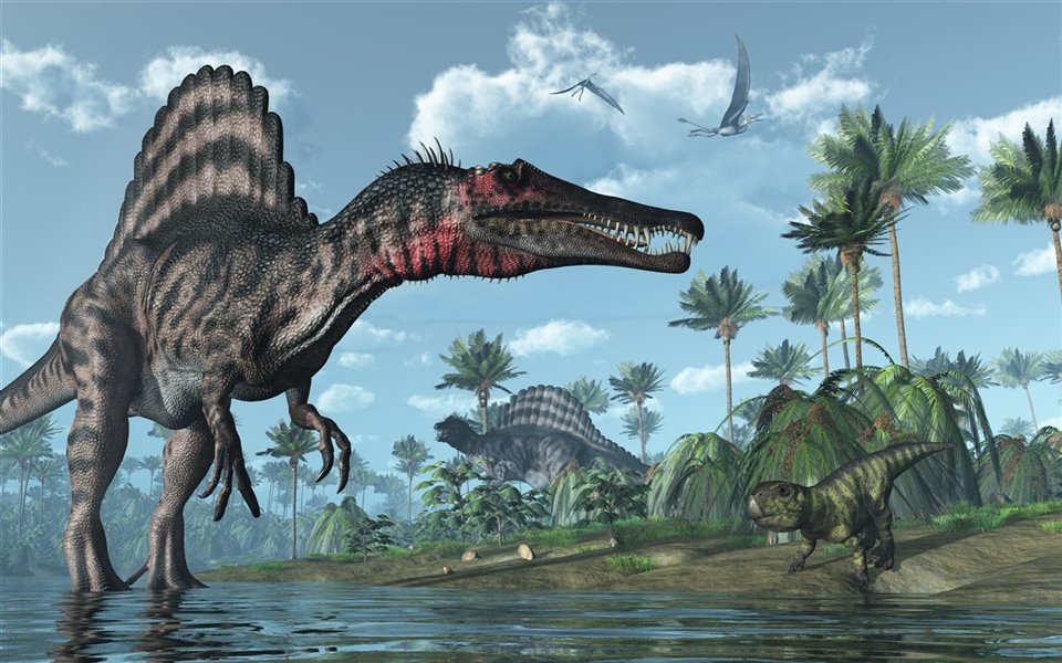 El Spinosaurus se alimentaba como un pájaro pescador, no como un reptil ...