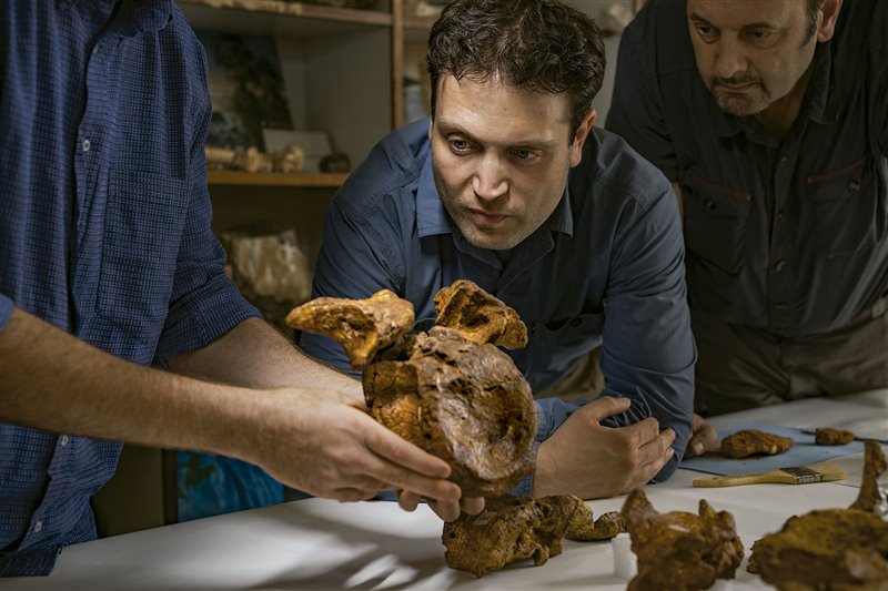 Una nueva visión de los dinosaurios