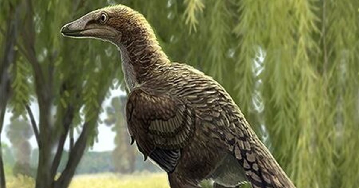 Tamarro insperatus, uno de los últimos dinosaurios que vivió en los ...