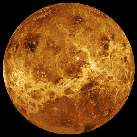 Reportajes y fotografías de Venus en National Geographic