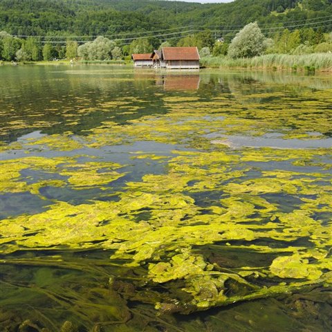 Reportajes y fotografías de Lagos en National Geographic