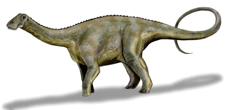 10 dinosaurios de aspecto extraño (y por qué eran así)