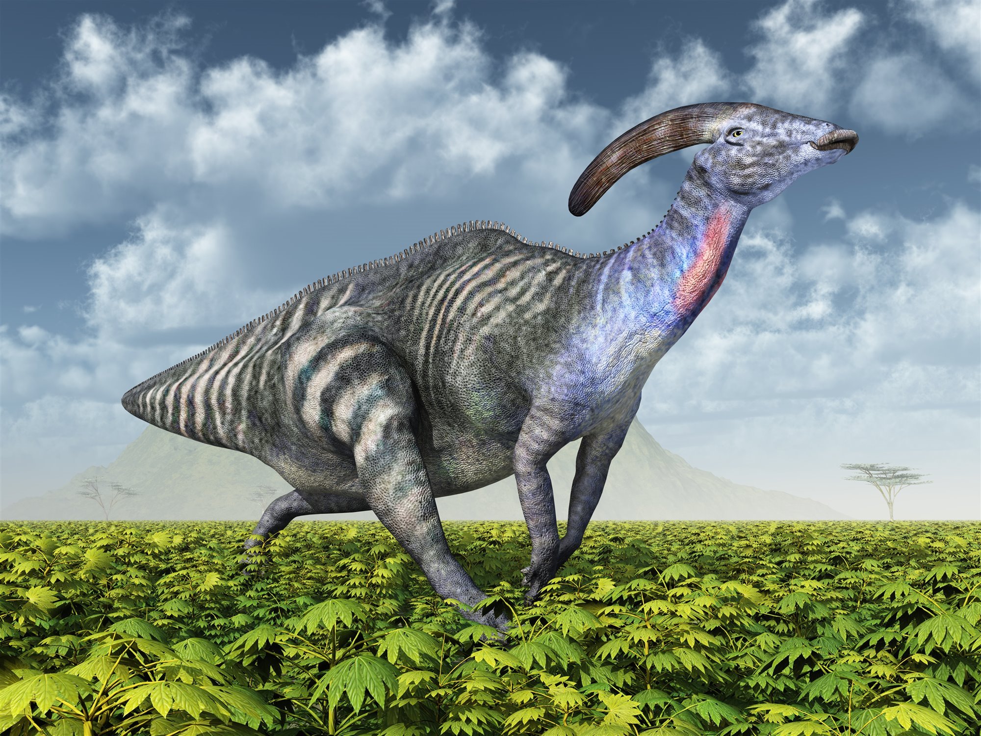 10 dinosaurios de aspecto extraño (y por qué eran así)