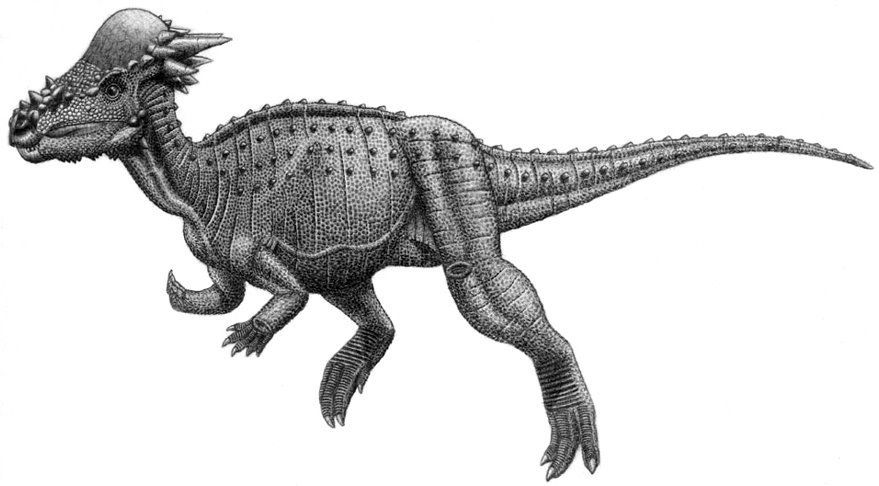 10 dinosaurios de aspecto extraño (y por qué eran así)