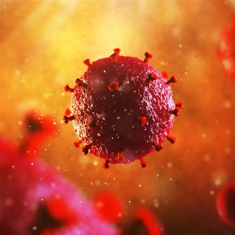 Reportajes y fotografías de Sida en National Geographic