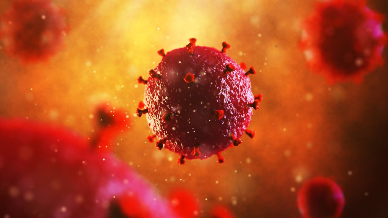 Reportajes y fotografías de Sida en National Geographic