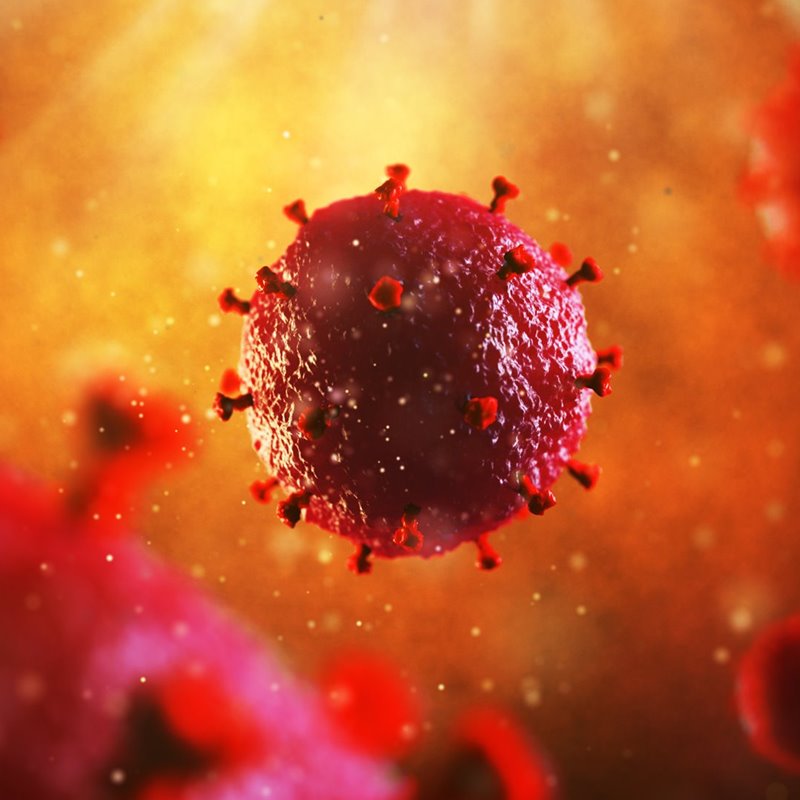 Reportajes y fotografías de Sida en National Geographic