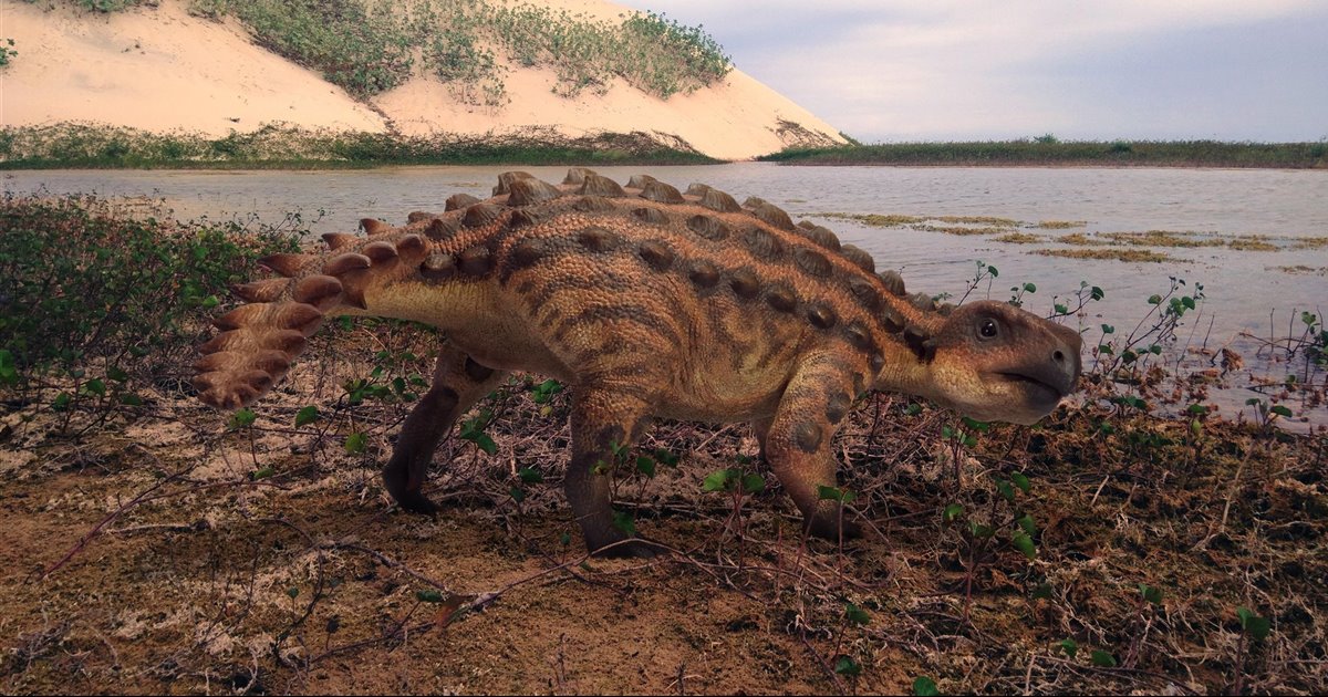 Descubren una nueva especie de anquilosaurio en Chile