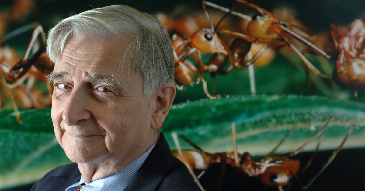 Tras el legado de Edward O. Wilson, un gigante de la biología