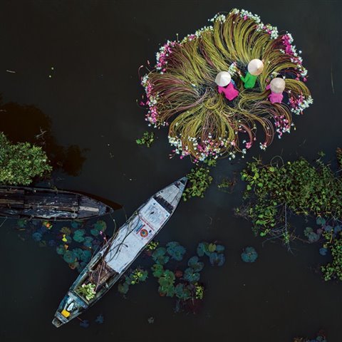 Reportajes y fotografías de Flores en National Geographic