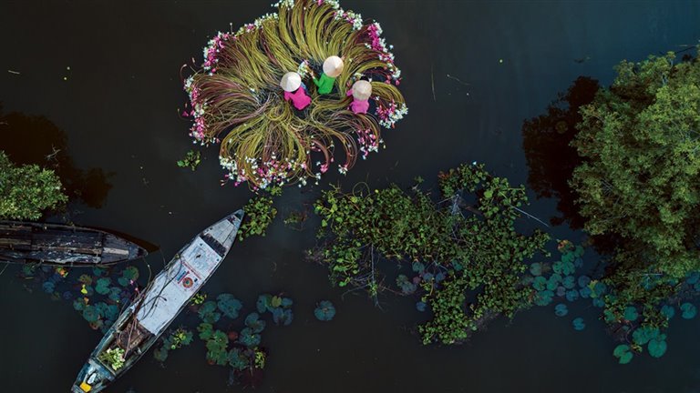 Reportajes y fotografías de Flores en National Geographic