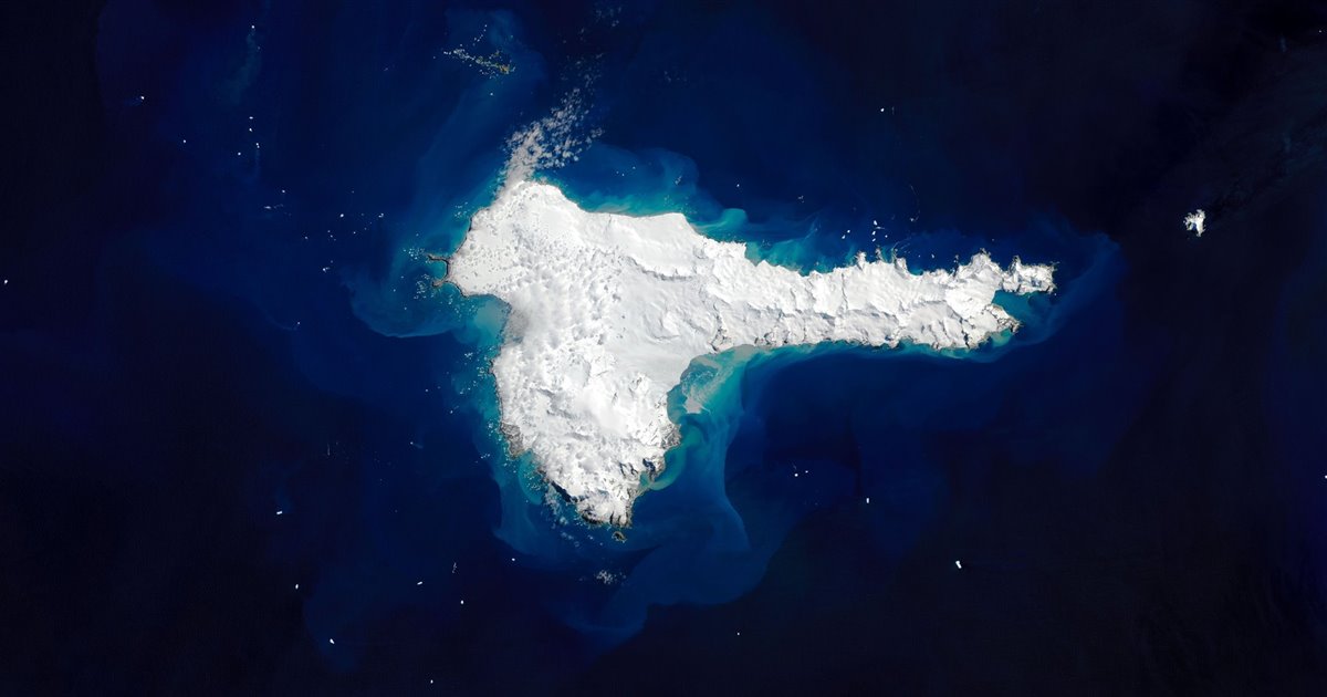 La isla Elefante, un hogar para los rorcuales comunes