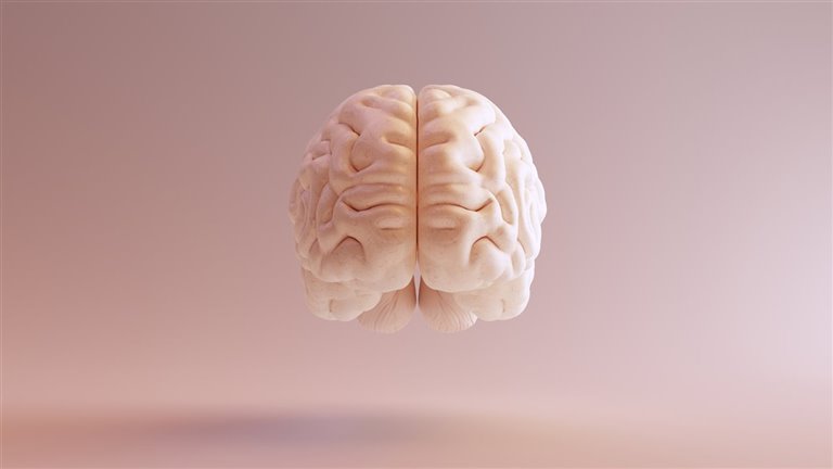 ¿Sabes a qué velocidad funciona tu cerebro? Más lento de lo que crees