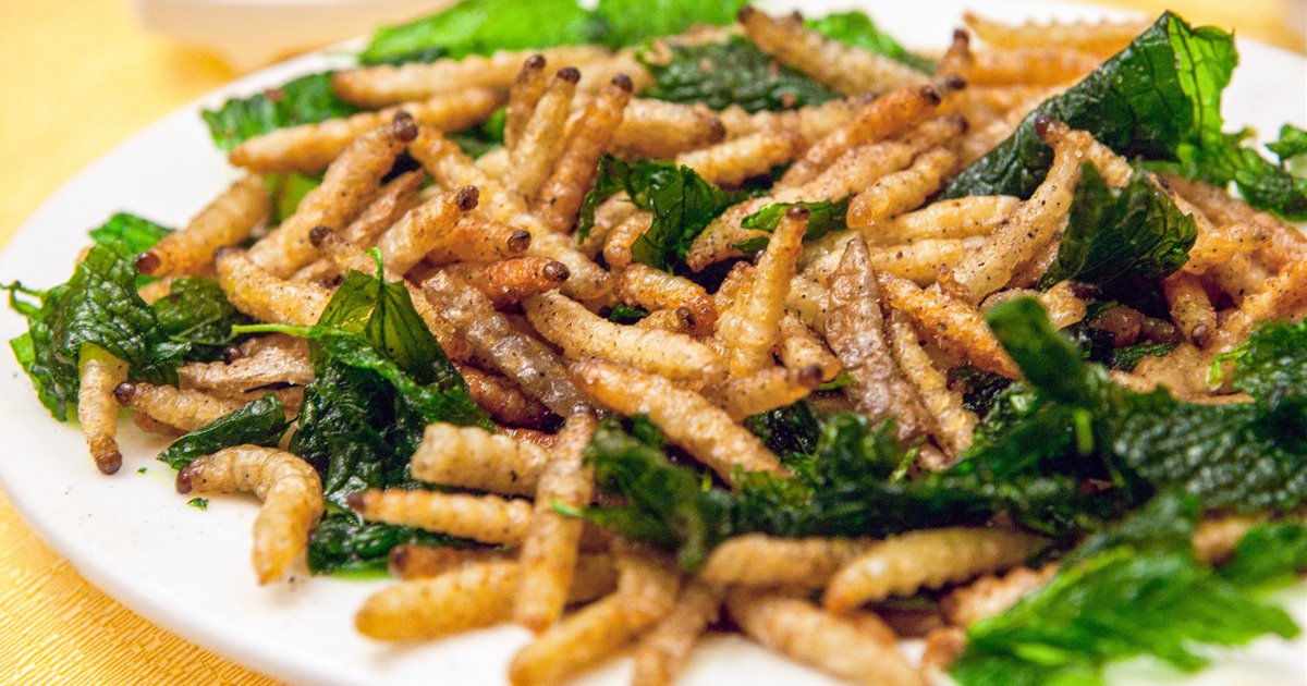 Consumo de insectos, el futuro de la alimentación y una alternativa ...