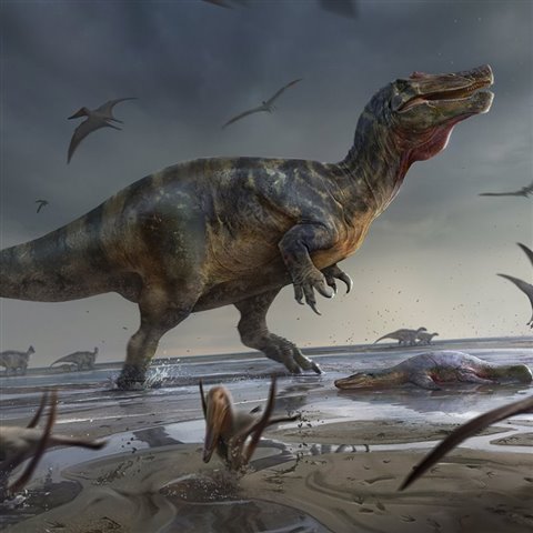 Reportajes y fotografías de Cretácico en National Geographic