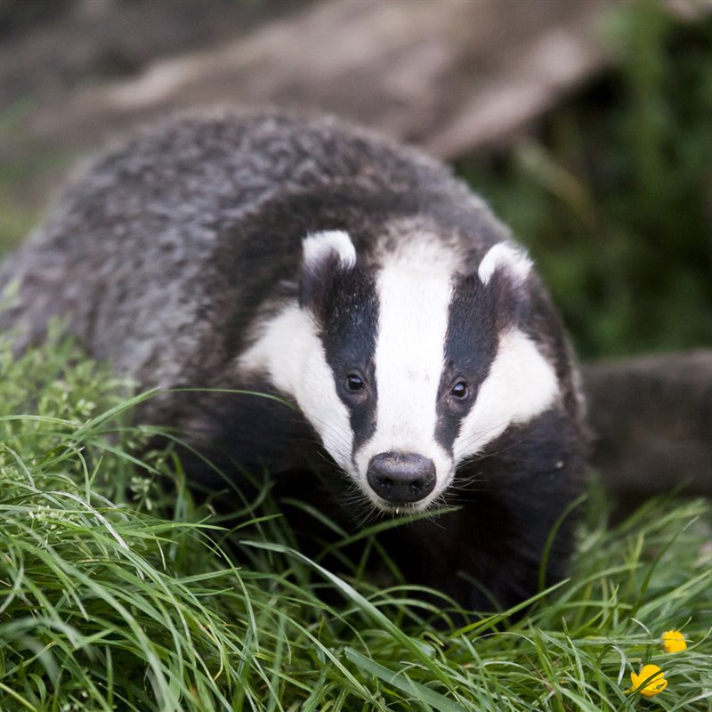 Reportajes, fotos y vídeos de Medio Ambiente