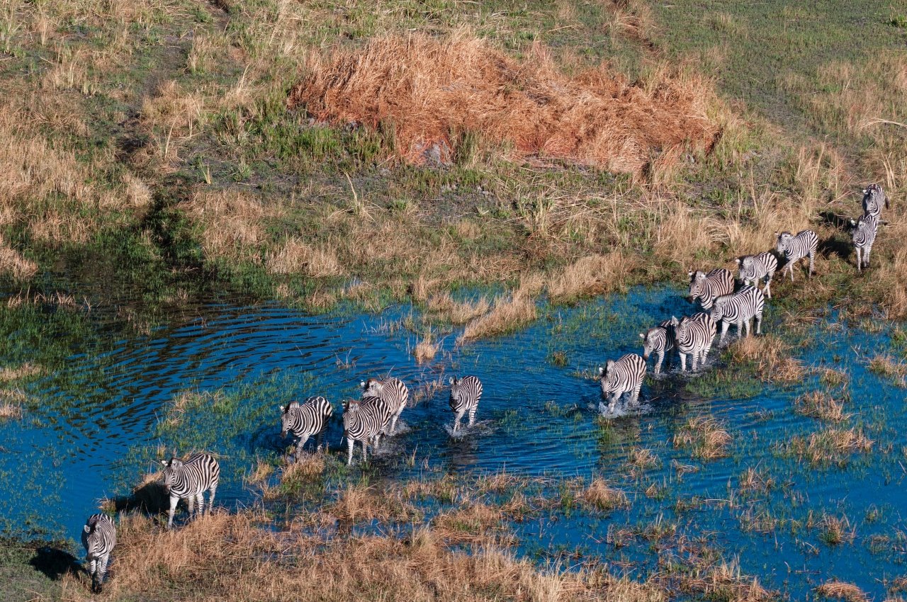 El delta del Okavango a vista de pájaro