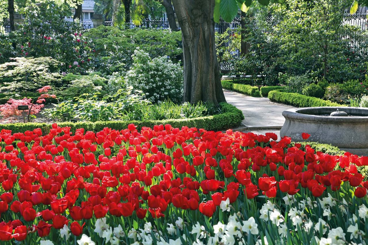 Paseo inédito por el Jardín Botánico