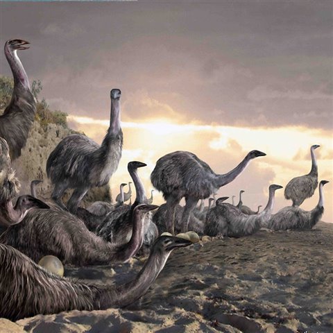 Madagascar, 20 millones de años de evolución en peligro