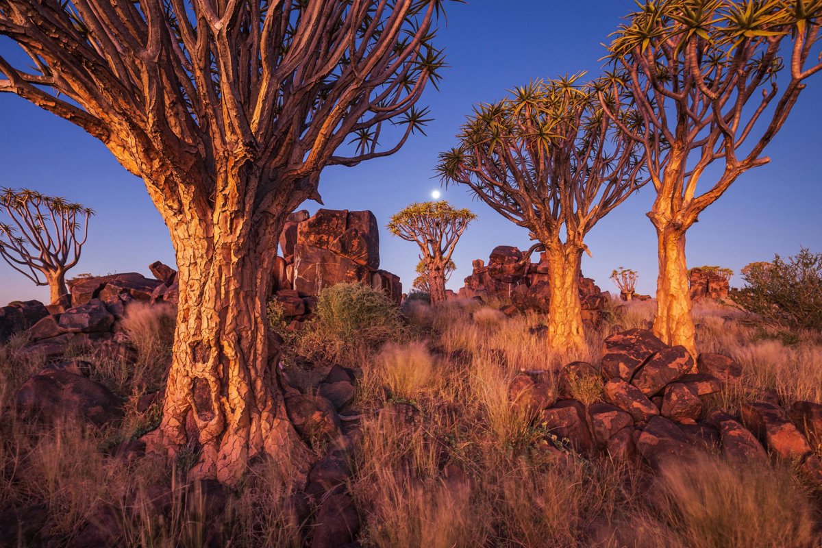 101 paisajes que te harán viajar a otro mundo