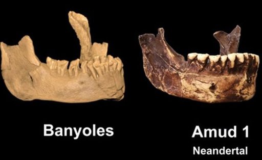 Descubierta la mandíbula del Homo sapiens más antiguo de Europa
