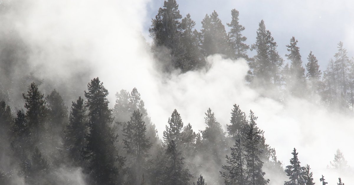 Claves para fotografiar con niebla