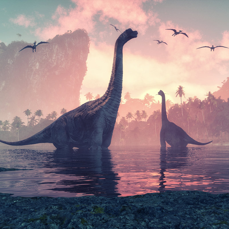 El animal terrestre más grande de la historia vivió en la Patagonia ...