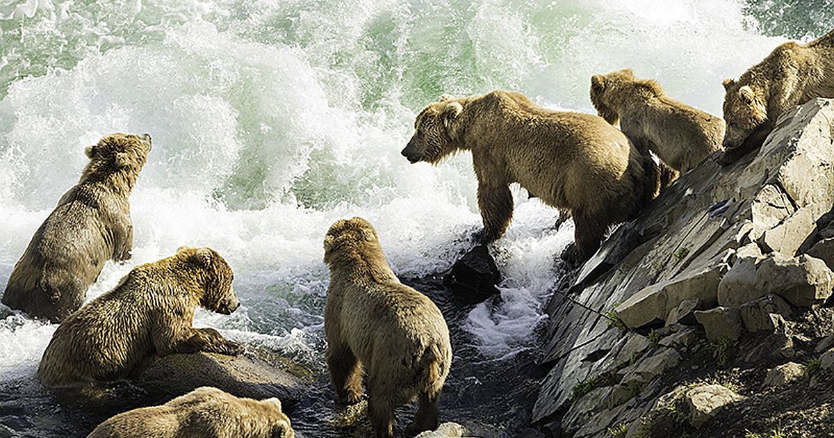 La isla Kodiak, el secreto mejor guardado de Alaska