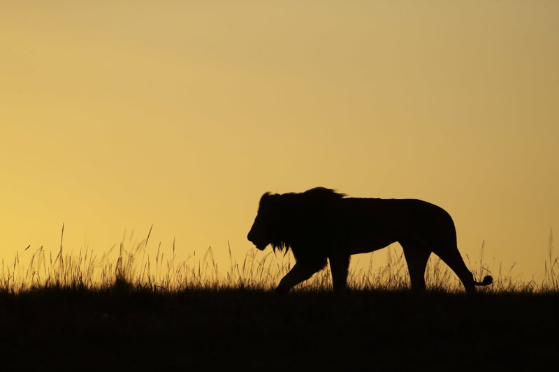 Cómo fotografiar la salida y la puesta de sol