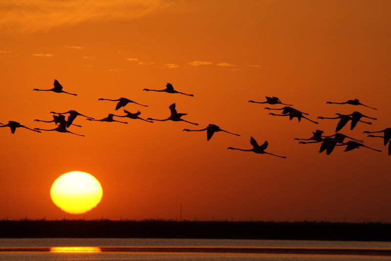 Cómo fotografiar la salida y la puesta de sol