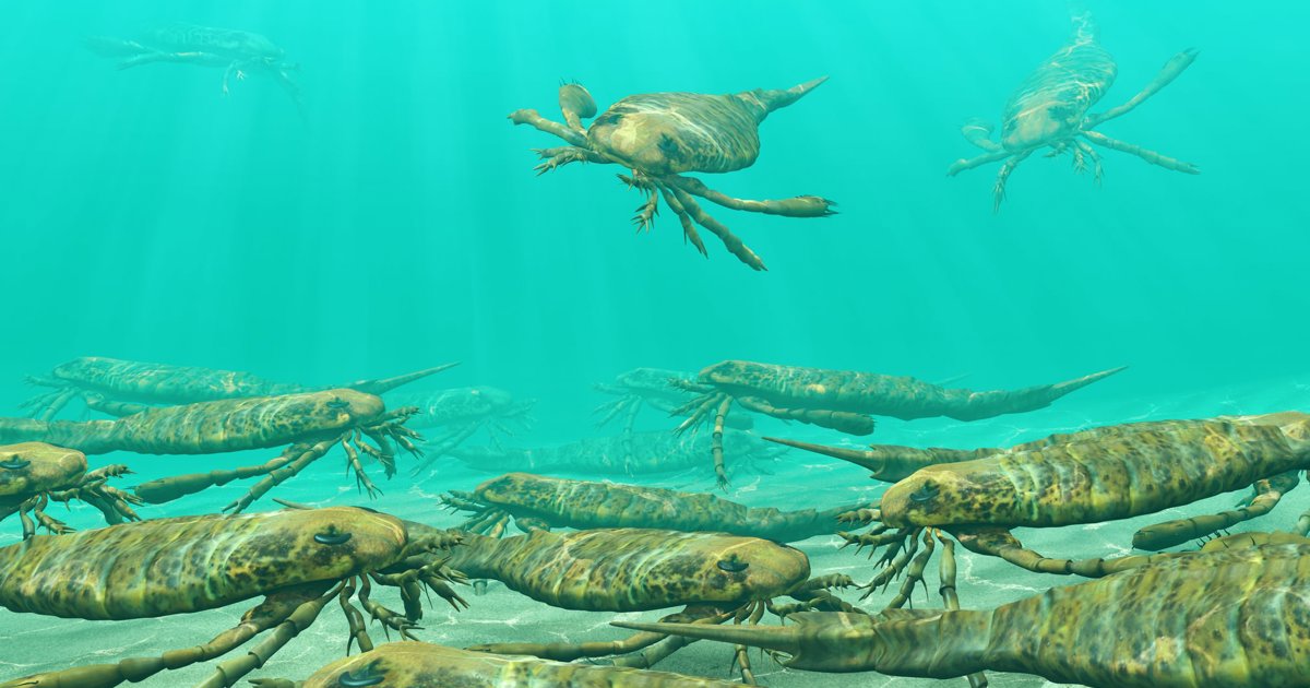 Mamiferos Aquaticos Pre Historicos Reptiles Marinos Prehistóricos