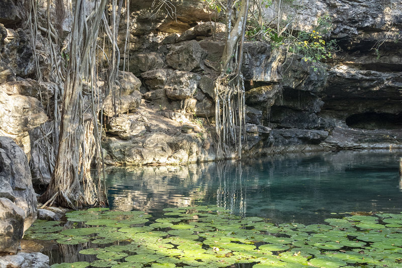 Seis razones para conocer Yucatán