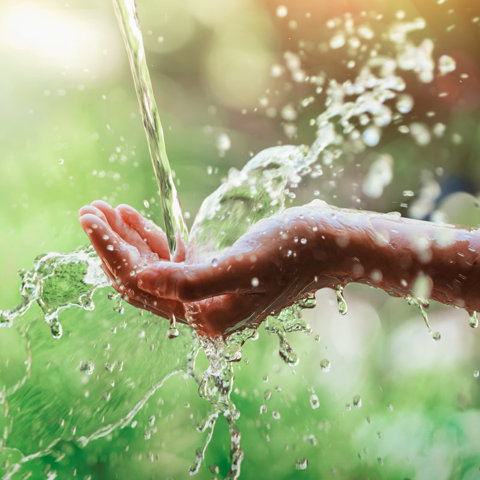 Reportajes y fotografías de Agua en National Geographic